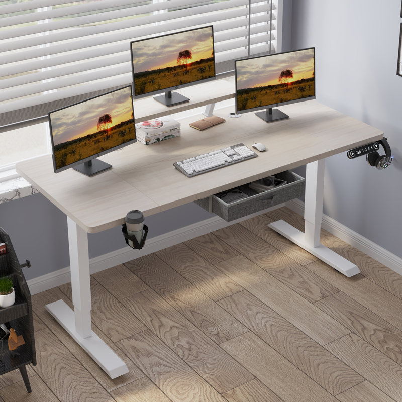 Lasherrie Height Adjustable Gaming Standing Desk - Wayfair | Havenly