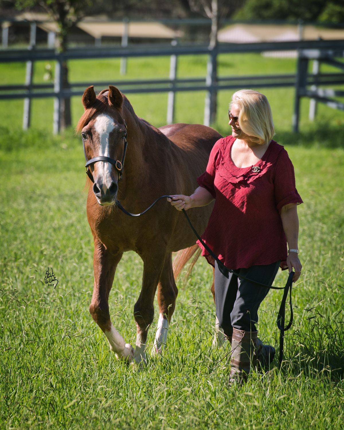 Julie Farrell :: Mulawa Arabian Stud | Sydney Australia
