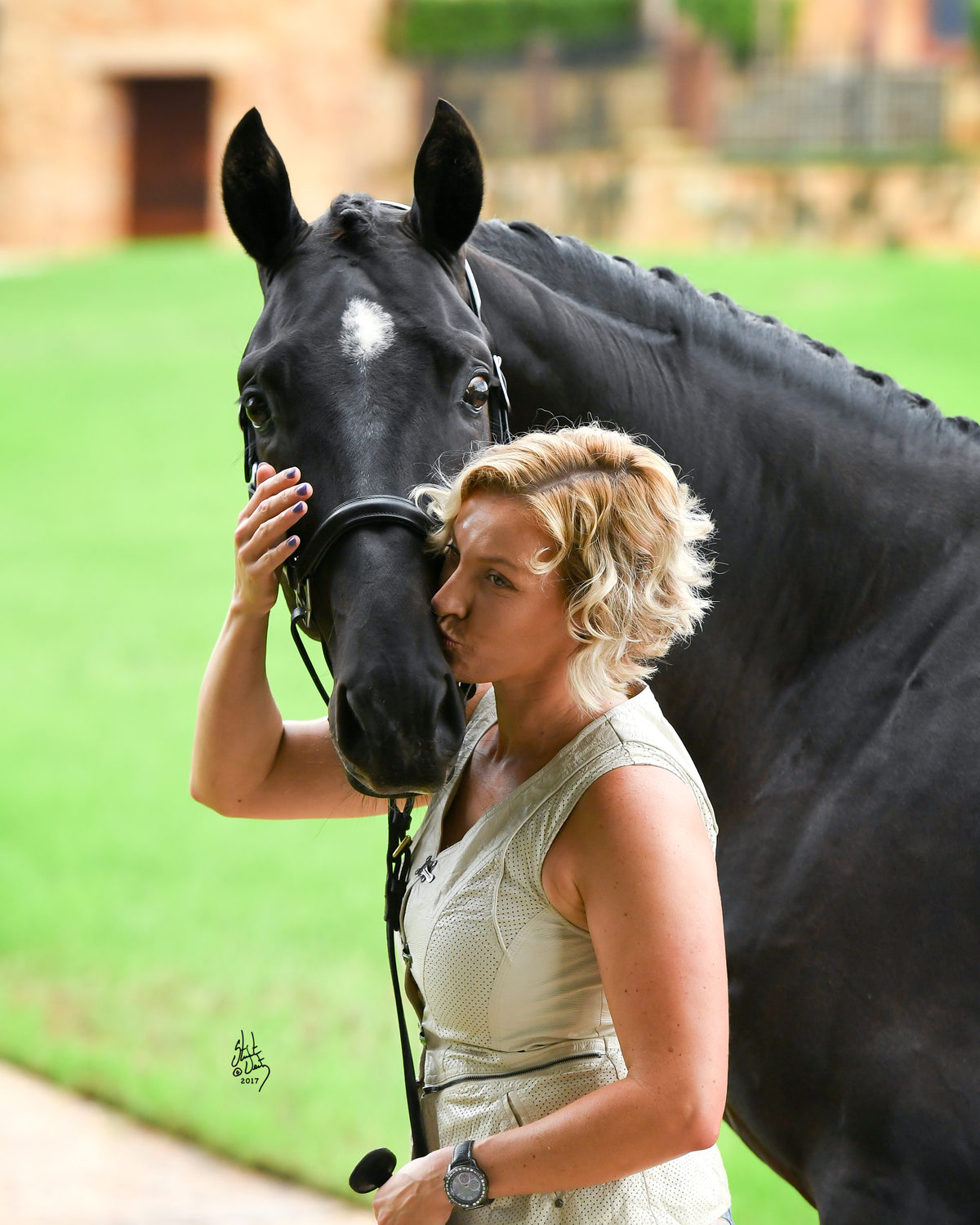 Danielle Currie :: Mulawa Arabian Stud | Sydney Australia