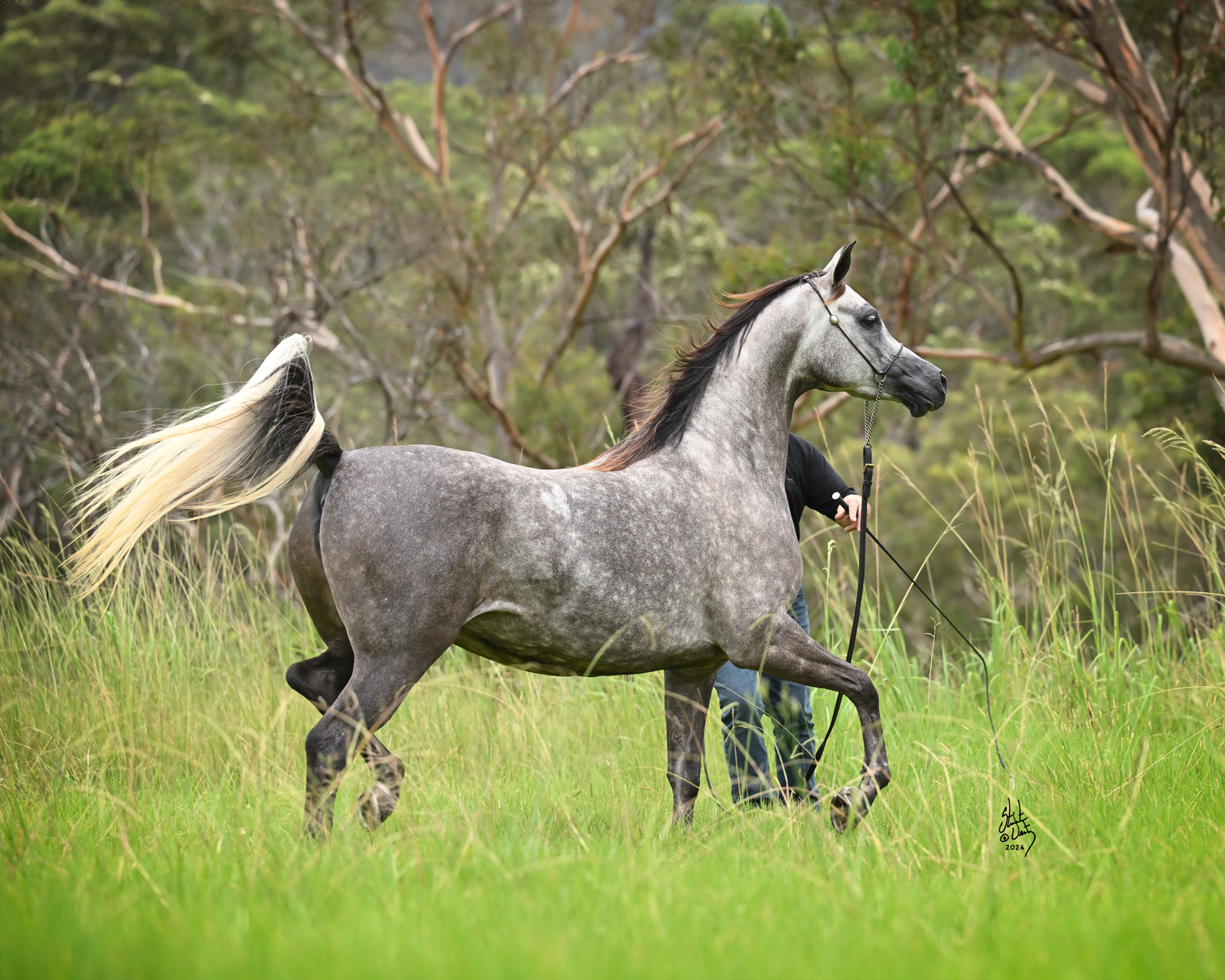 Australian National Championships 2025 | Mulawa Community Success ...