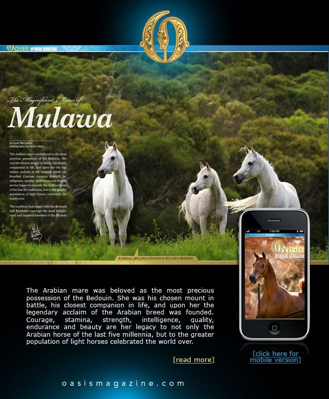 The Magnificent Mares of Mulawa - Oasis Feature 2012 :: Mulawa Arabian ...