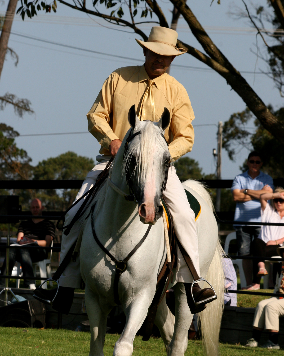 Mulawa Open Day 2011 - A Cause for Celebration :: Mulawa Arabian Stud ...