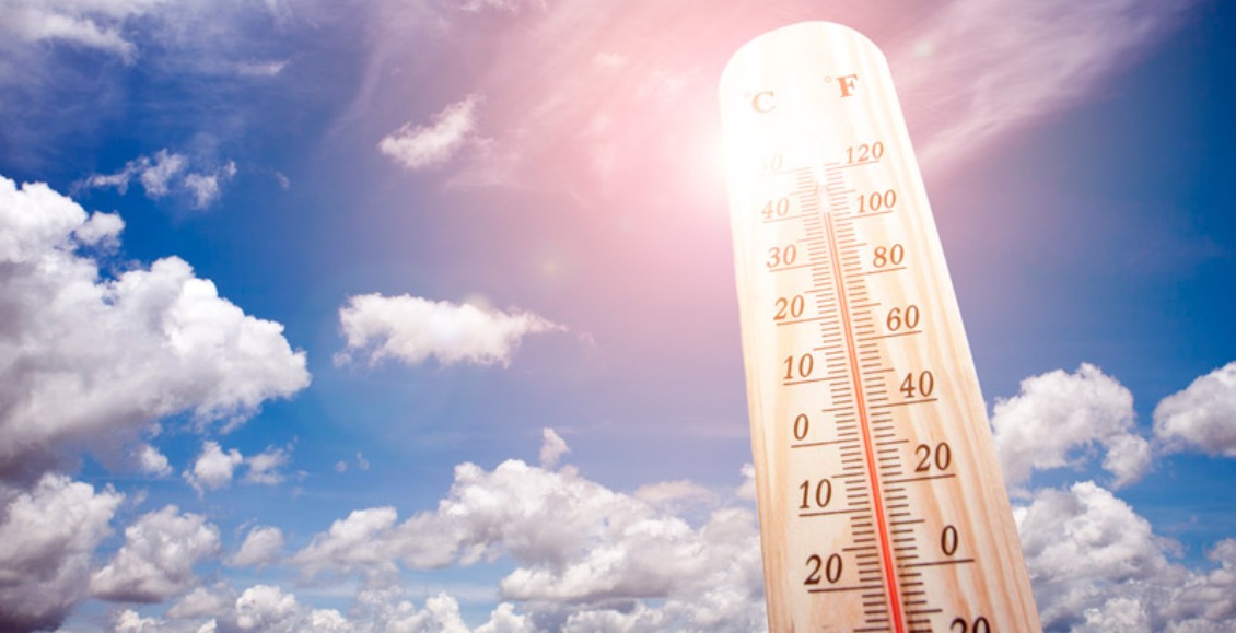 9 tips para no sufrir el calor - Selecciones