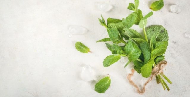 14 usos asombrosos de la menta fresca - Selecciones