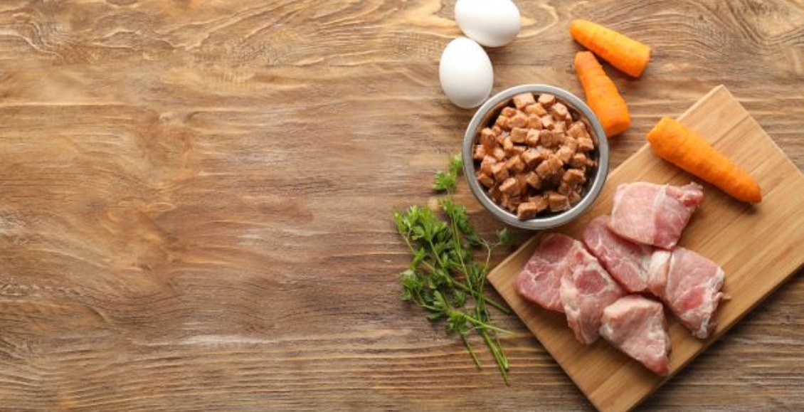 10 consejos para cocinarle a su perro