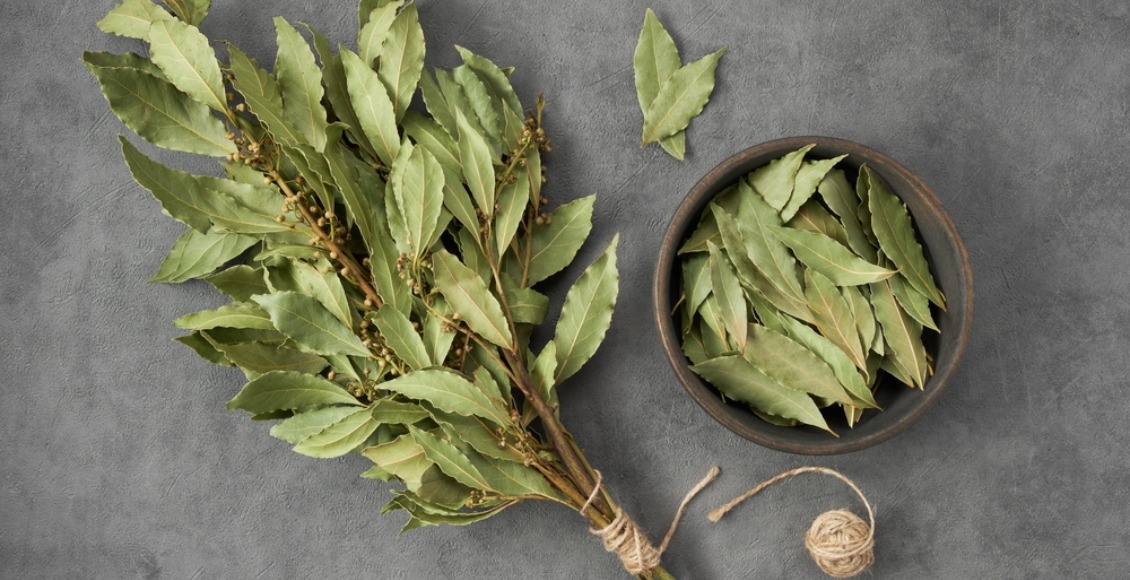 El laurel, mucho más que la hierba de la abuela