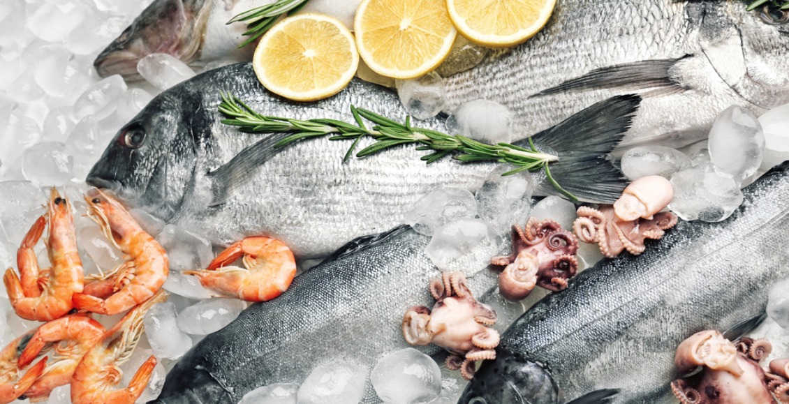 Guía completa sobre los pescados