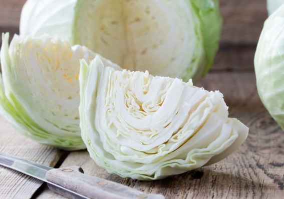 ¿Conocía los beneficios del repollo?