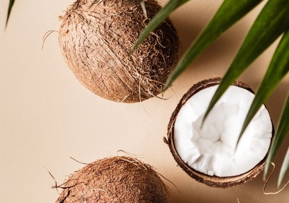 El coco: una fruta dulce, tropical y llena de beneficios