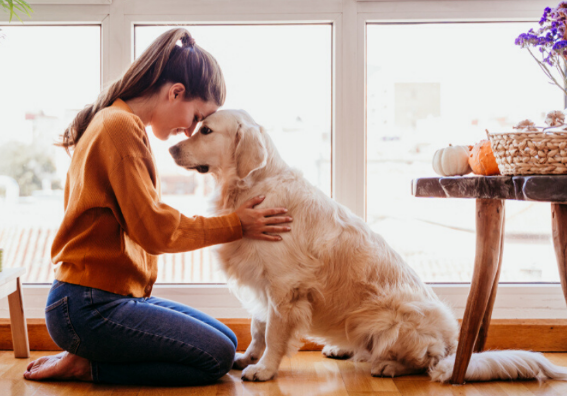 Tener Mascota Ayuda A Sobrellevar Los Momentos De Estrés