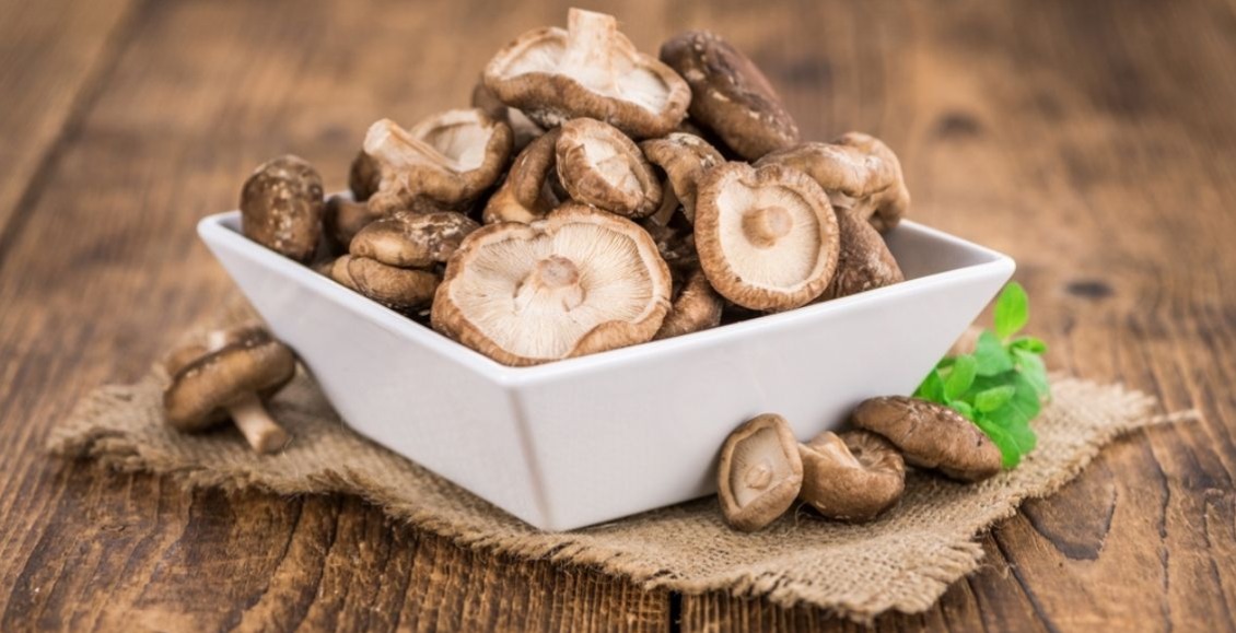 Usos y beneficios de los hongos medicinales