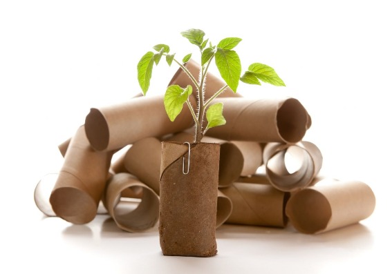 La era del reciclado: cómo reutilizar cartón