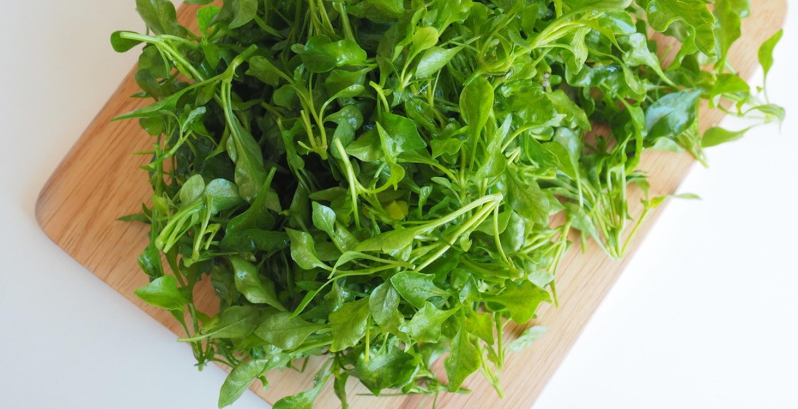 Un mundo detrás de una simple hoja de berro