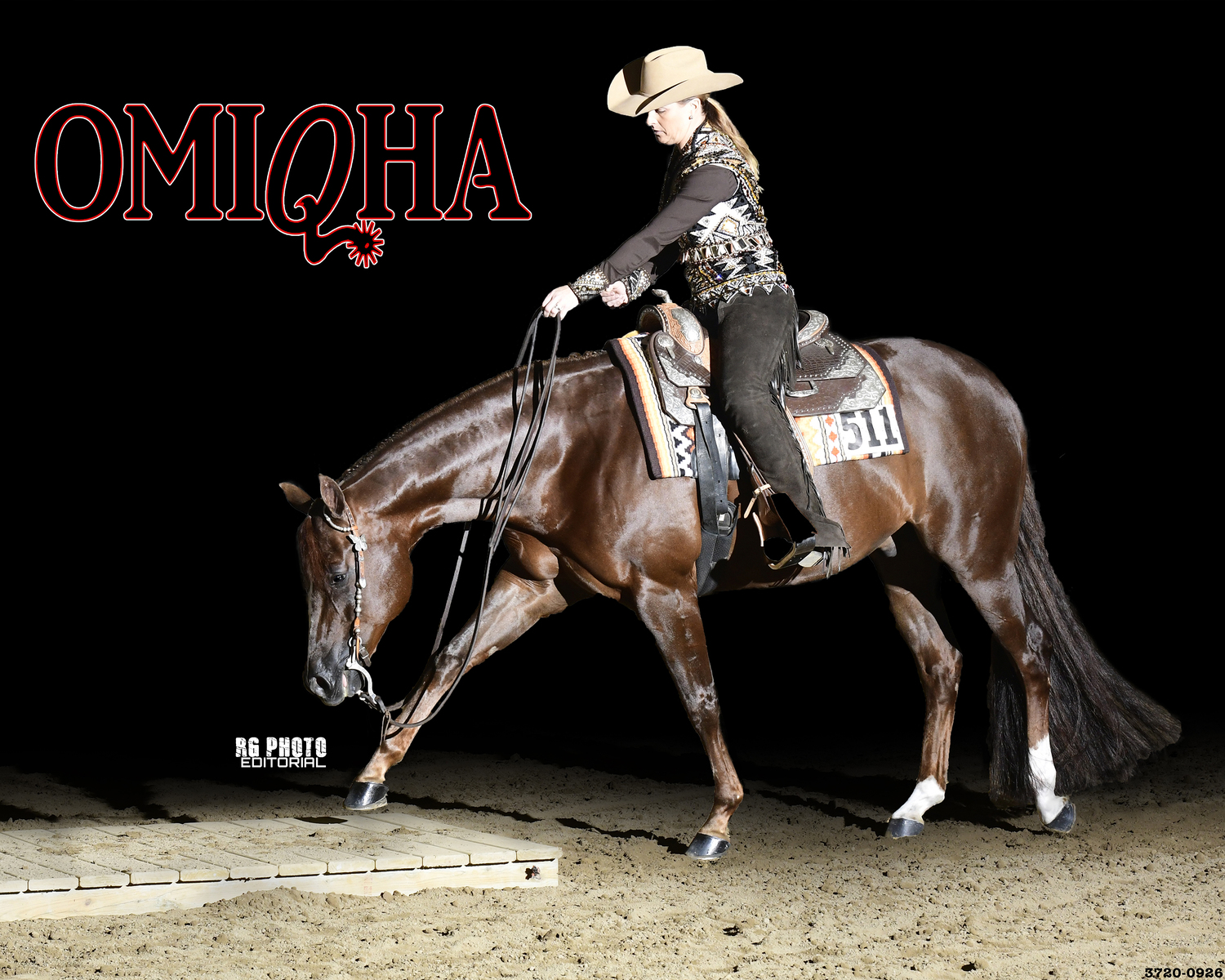 OMIQHA Spring Warm Up Show Recap :: Ohio Quarter Horse Association | OQHA