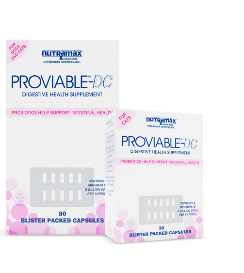 Proviable®-DC Capsules For Cats - Proviable®