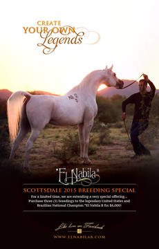 Create Your Own Legends... :: Psynergy Enterprise Developments, LLC