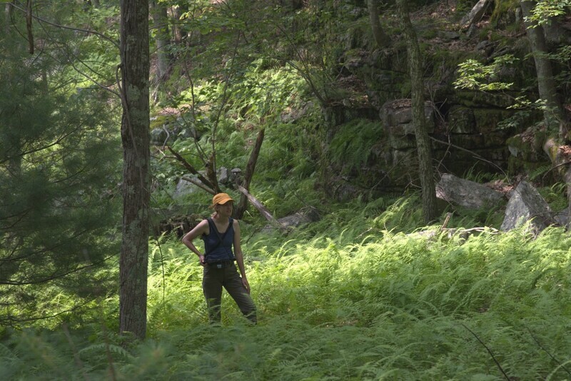 Interviews | Roger Ebert