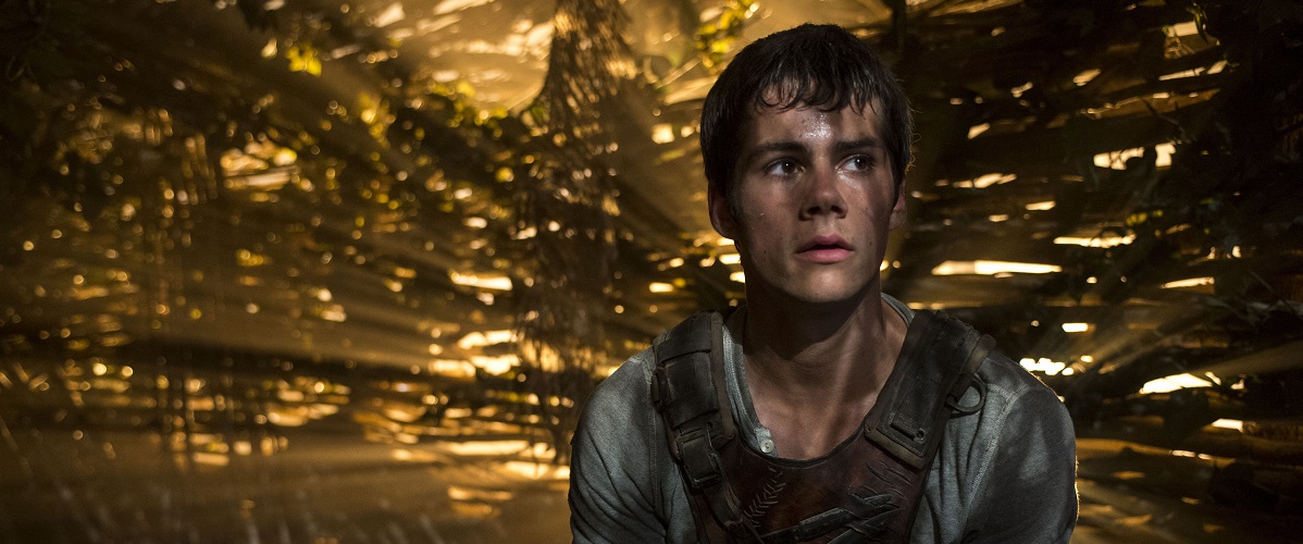 The Maze Runner Movie Review Film Summary 2014 Roger Ebert The Maze Runner Movie Review Film Summary 2014 Roger Ebert