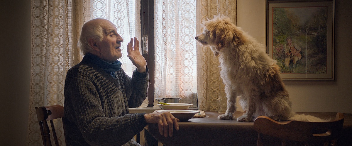 The Truffle Hunters movie review (2021) | Roger Ebert