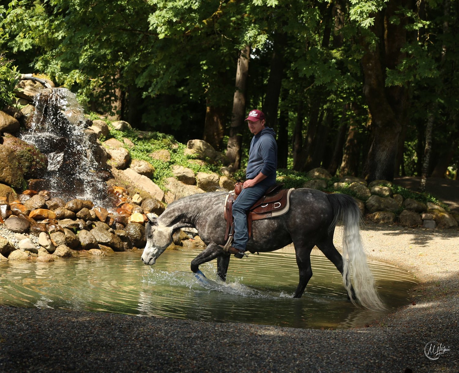 The Ultimate Trail and Obstacle Course Experience :: Rose City Arabians
