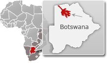 Okavango Delta – Travel Guide, Map & More!