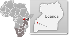 Kibale National Park – Travel Guide, Map & More!