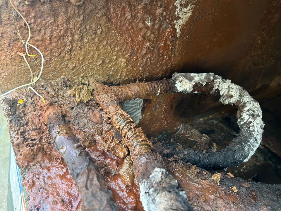 Waste TEK | Baler & Compactor Service throughout the Southeast