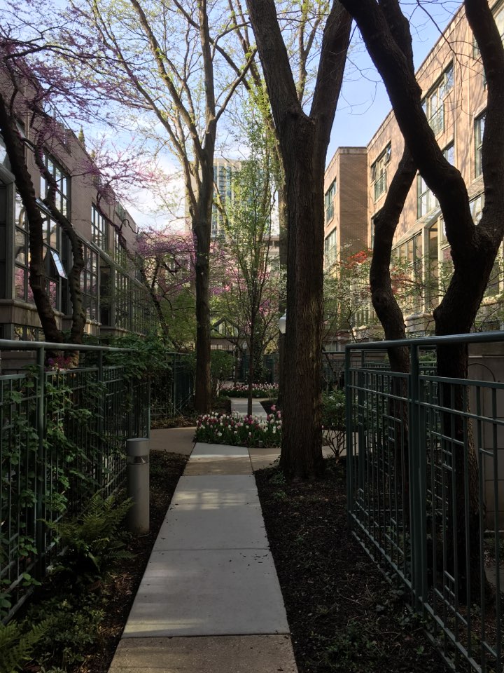 Locksmiths Lombard - Goldy Locks, Inc. - Alarm-One Security Systems