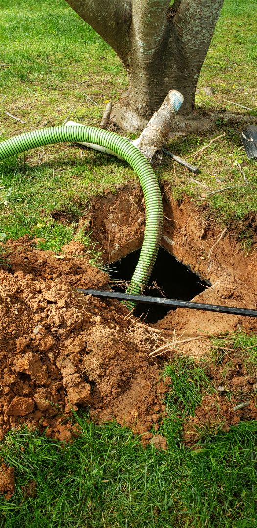 Your Favorite Marietta Plumber | Marietta Plumbing | The Clog Dawg