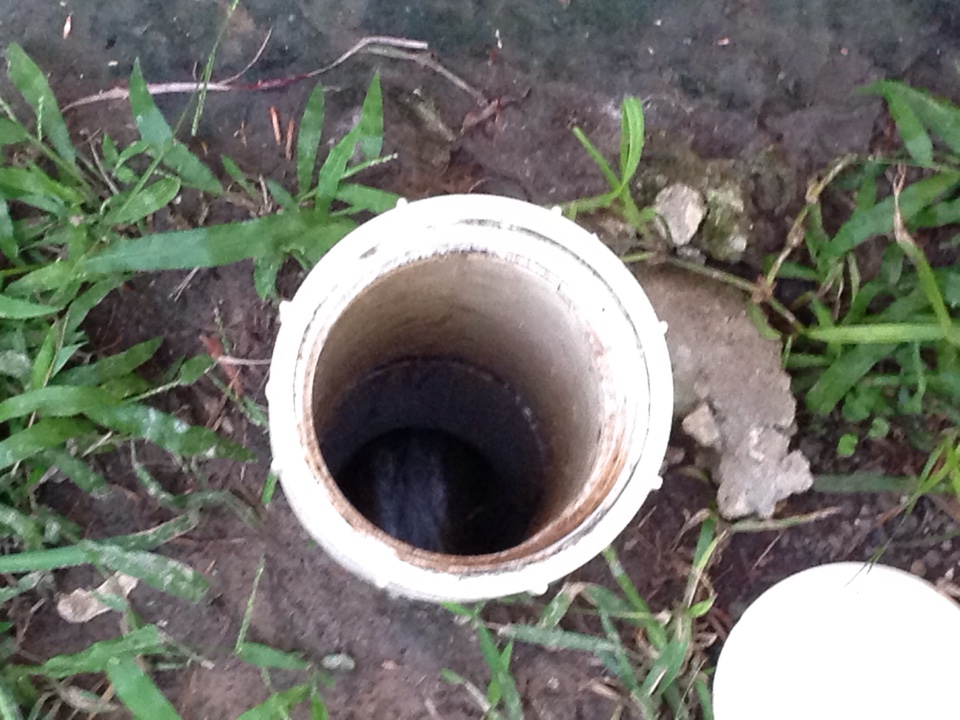 Your Favorite Spring Plumber | Spring Plumbing | Wedgeworth Plumbing