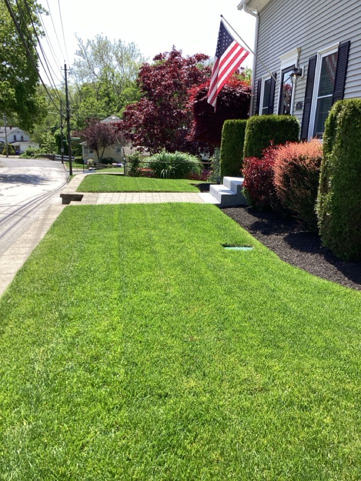 RI Lawn, Weeds & Pest Control Services Program | 4everGreen