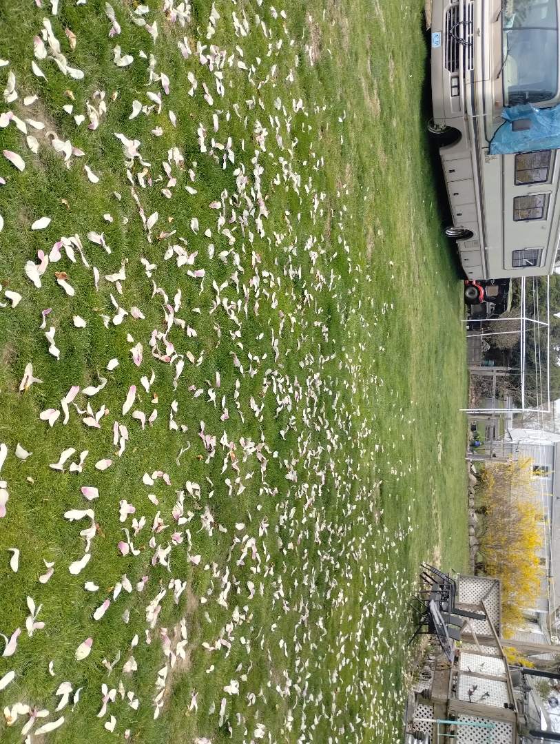 Rhode Island Lawn, Weeds & Pest Control Services Program