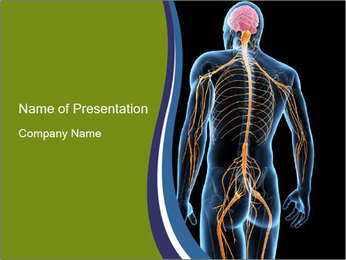 Nervous System Background Powerpoint Nerve Presentation Template for PowerPoint and Keynote ...