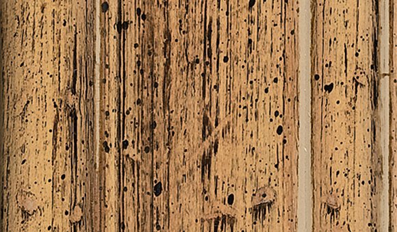 Wood Finishes - Standard | Customizations | Taylor King