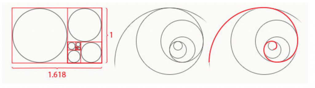 Golden Ratio In Web Design, Why Do You Need To Use It? The Next Tech