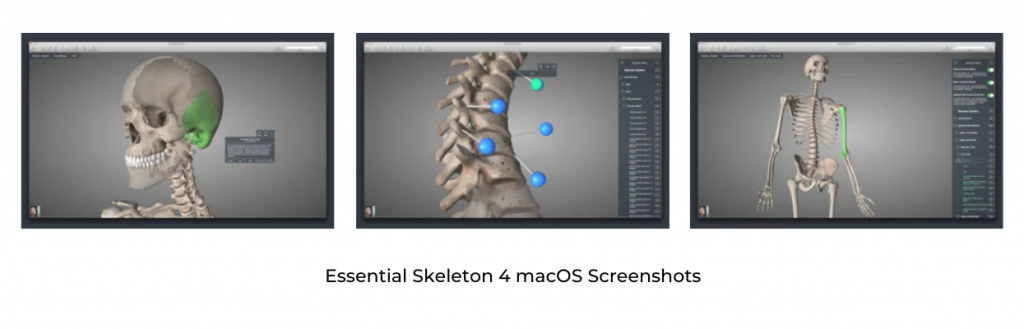 A List Of 50 Best Anatomy Apps For Medical Students (November 2025)