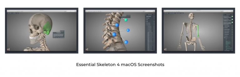 A List Of 50 Best Anatomy Apps For Medical Students (November 2025)