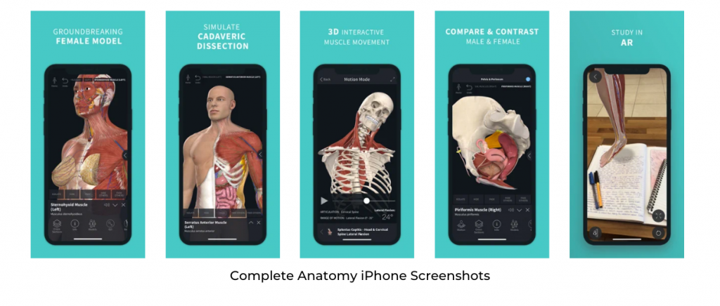 A List Of 50 Best Anatomy Apps For Medical Students (January 2026)