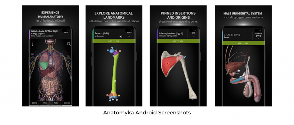 A List Of 50 Best Anatomy Apps For Medical Students (January 2026)