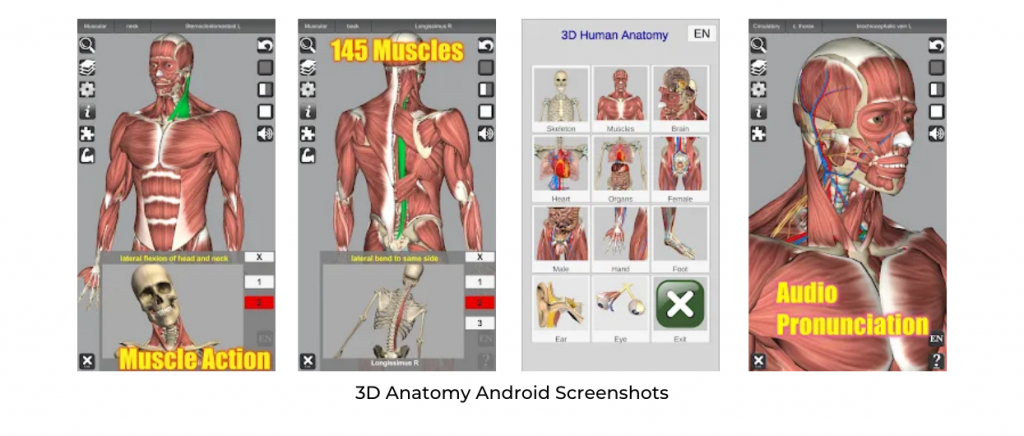 A List Of 50 Best Anatomy Apps For Medical Students (December 2025)