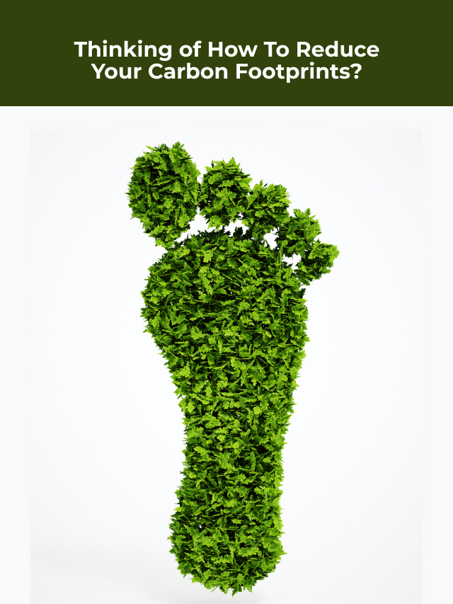 Tips To Reduce Your Carbon Footprints