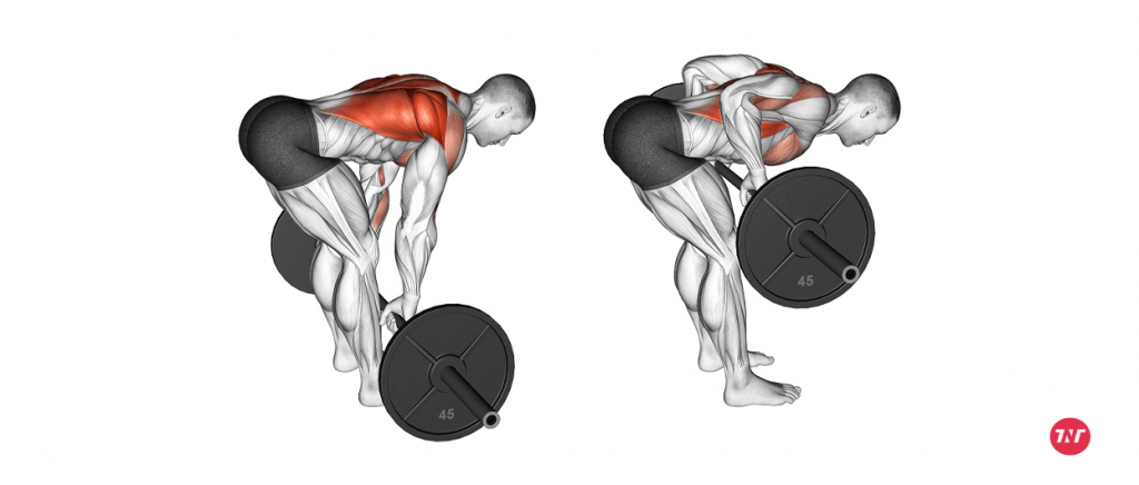 10 New Alternatives For T Bar Row Exercise To Build Lats