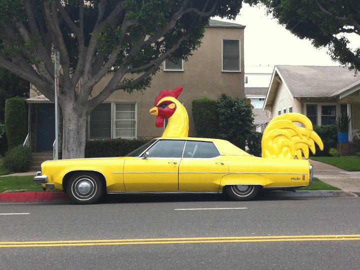 I present you with the Chicken Limo. : r/WTF