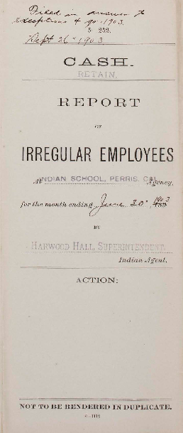 Report of Irregular Employees — Calisphere