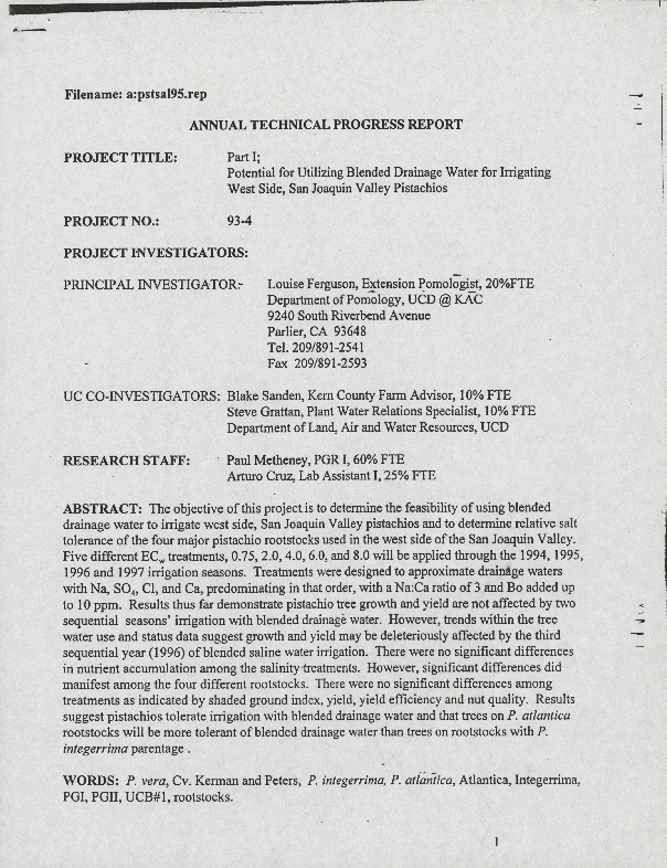 Annual technical progress report — Calisphere