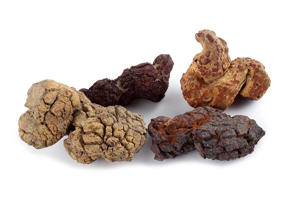 50 000 Year Old Poop Could Hold Key To Healthy Human Guts 50-000-year-old-poop-could-hold-key-to-healthy-human-guts