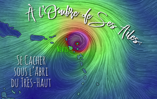 À l'Ombre de Ses Ailes: Se Cacher sous l’Abri du Très-Haut - Worlds ...