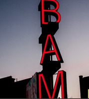 Brooklyn Academy of Music (BAM) | About us