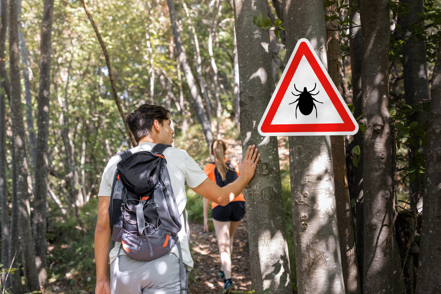 Warning Signs of Lyme Disease | Southwest Health
