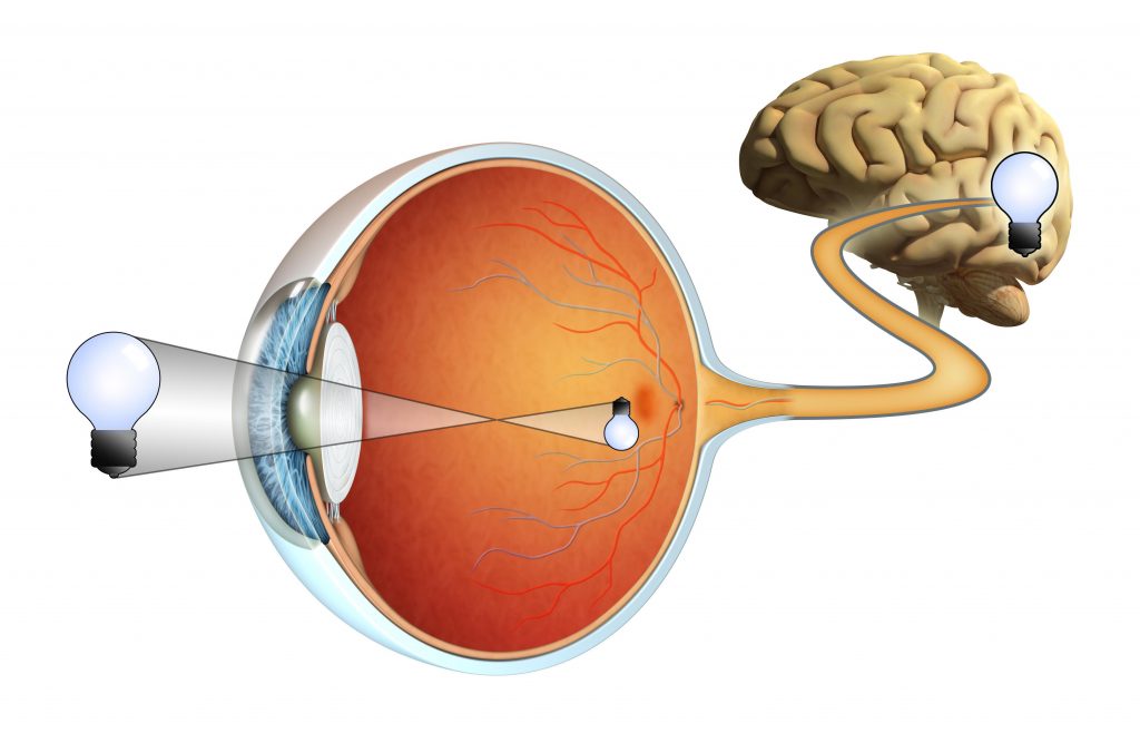 OPTIC NERVE ATROPHY - Future Clinic